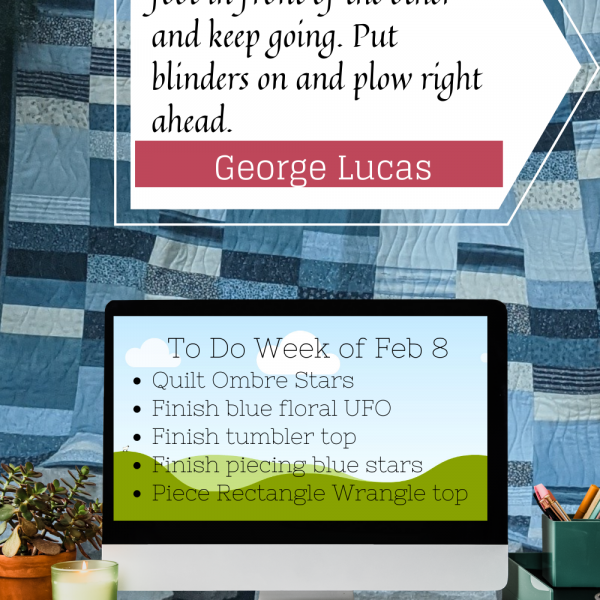 Stars Around the Garden July OMG Finish - Patchwork Sampler